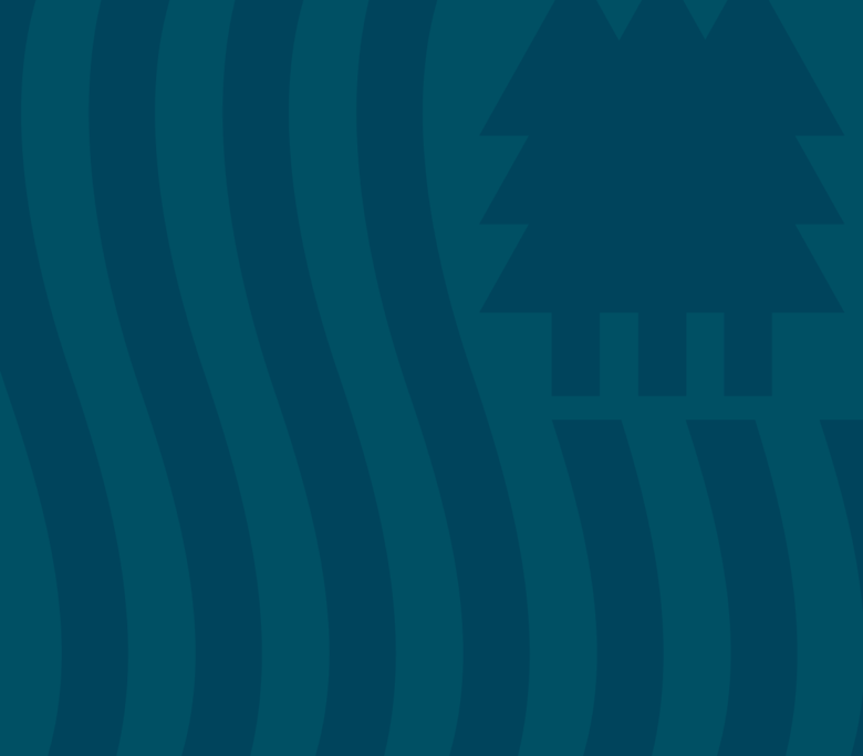 Eastern Shore Master Naturalists Support Oyster Restoration - Virginia Master Naturalists