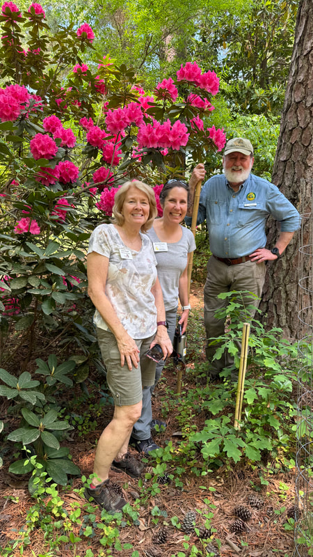 The Friends of the Bassett Trace Nature Trail at Colonial Williamsburg ...